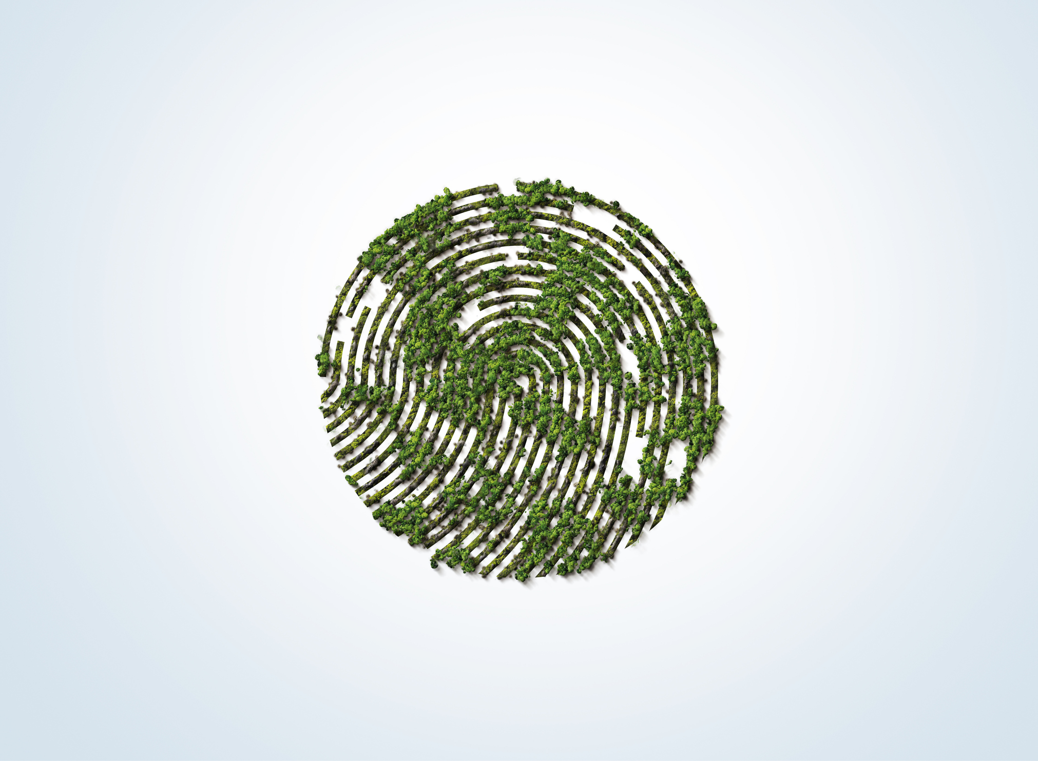 What is CSRD and ESRS - and who is impacted? - Planmark